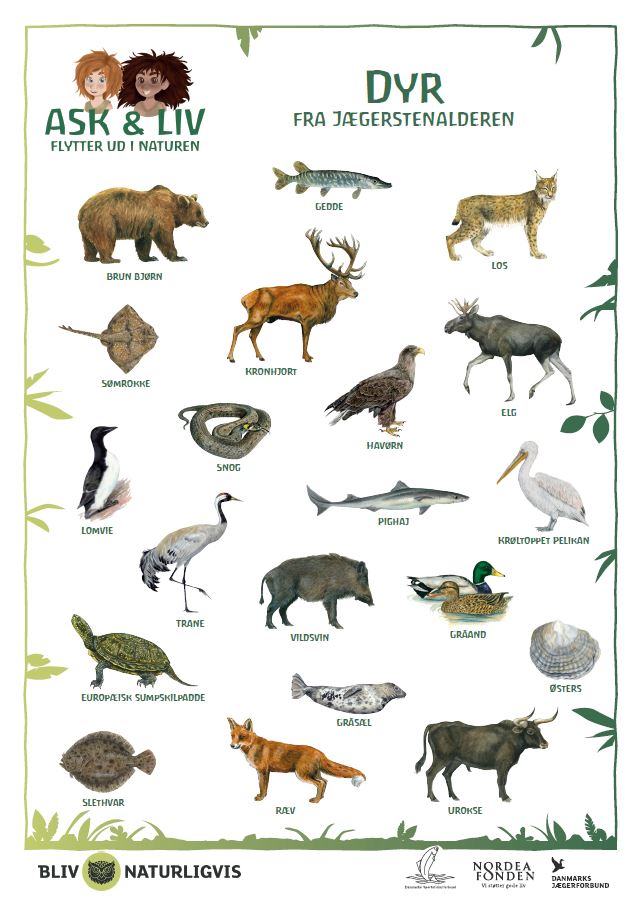 Plancher til Ask & Liv