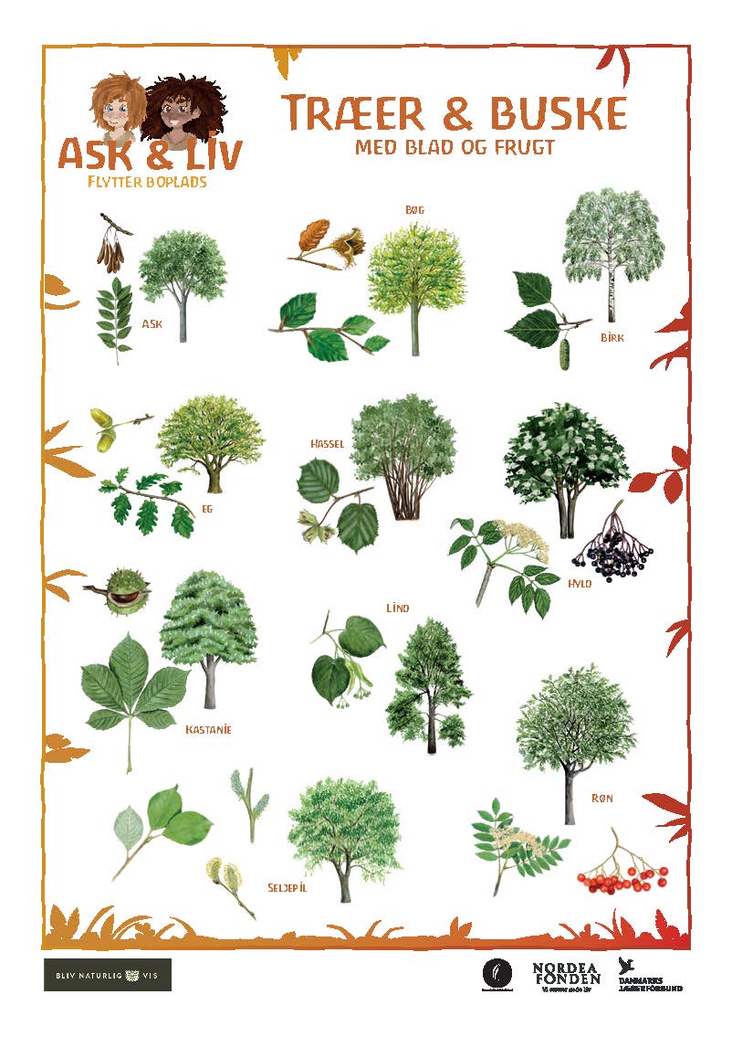 Plancher til Ask & Liv