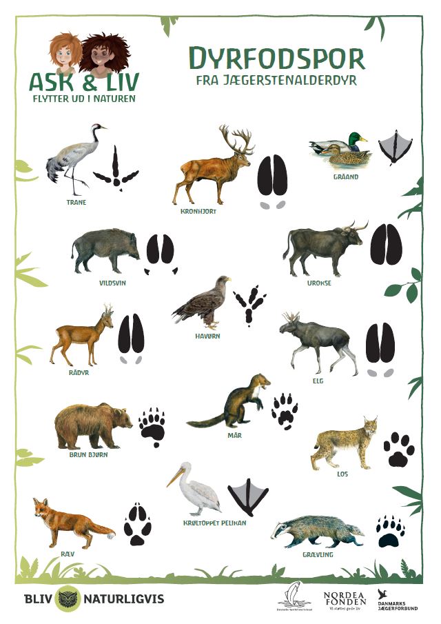 Plancher til Ask & Liv